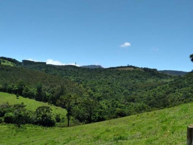 Rurais à venda em Monte Verde