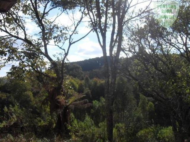 Rurais à venda em Monte Verde