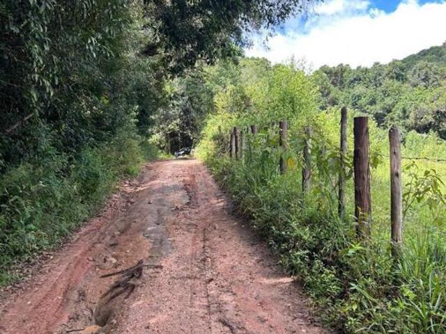 Rurais à venda em Monte Verde