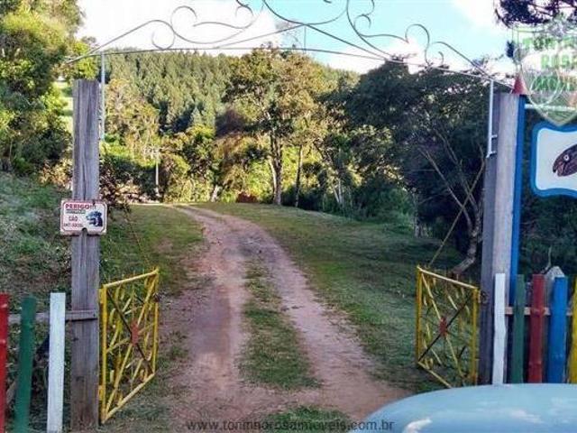 Rurais à venda em Monte Verde