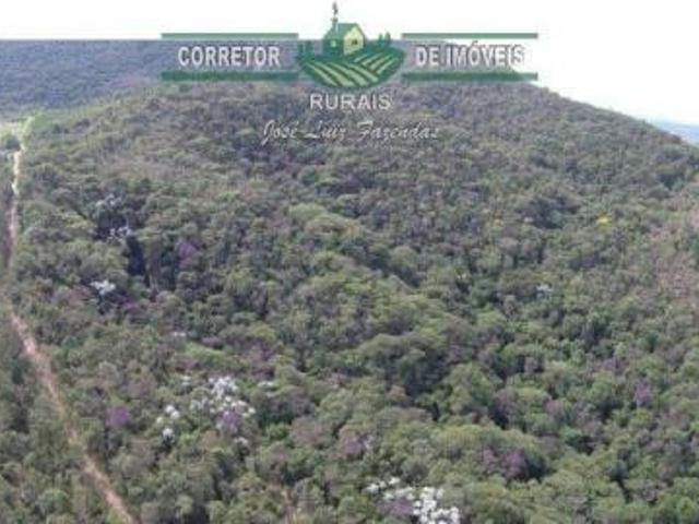 Rurais à venda em Olímpio Noronha