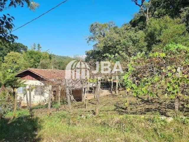 Rurais à venda em Pacotuba