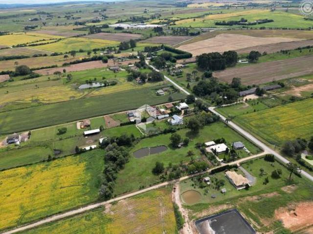 Rurais à venda em Palmeira