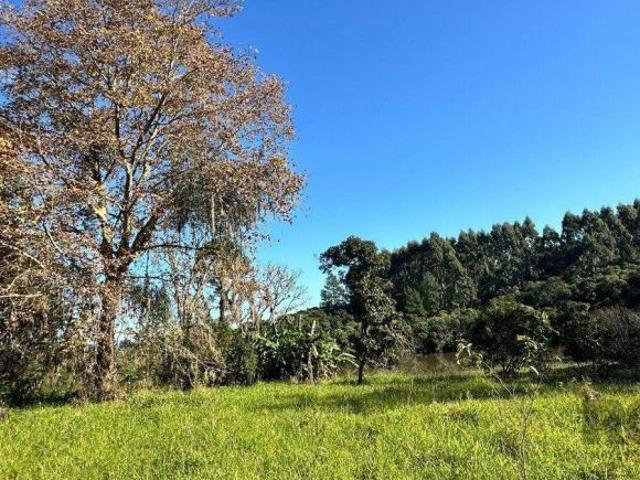Rurais à venda em Passo da Areia