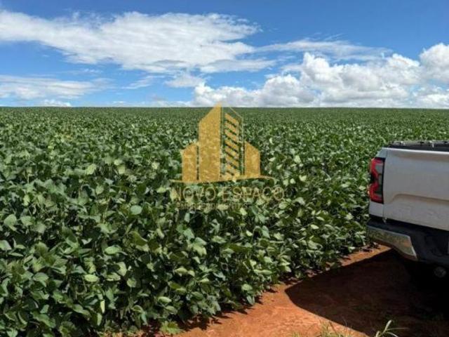 Rurais à venda em Perdizes