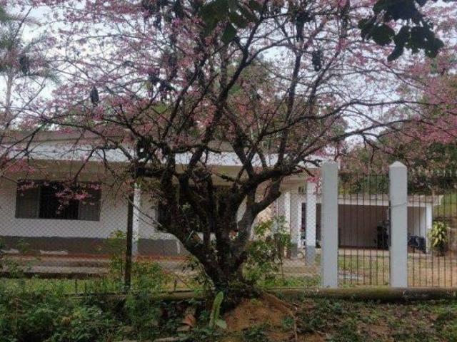 Rurais à venda em Pindorama