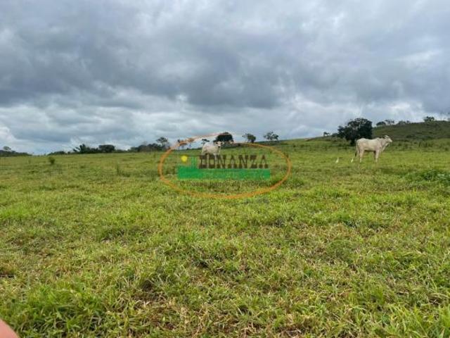 Rurais à venda em Piumhi