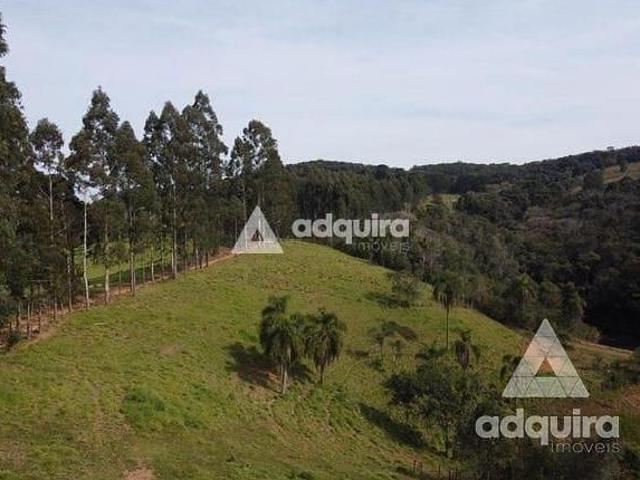 Rurais à venda em Ponta Grossa