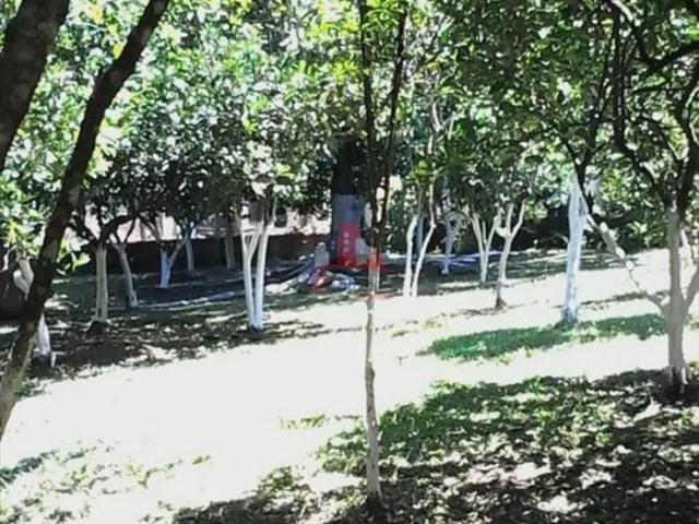 Rurais à venda em Portão