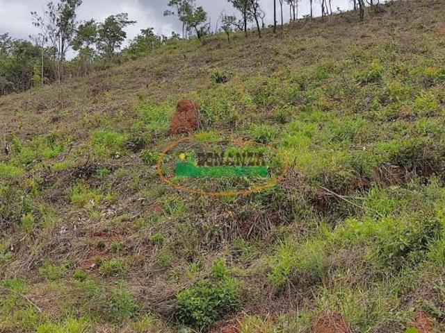 Rurais à venda em Portões