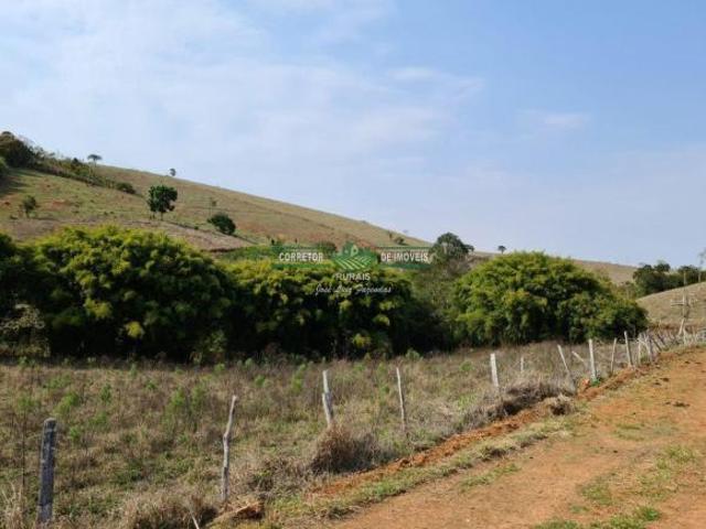 Rurais à venda em Pouso Alto