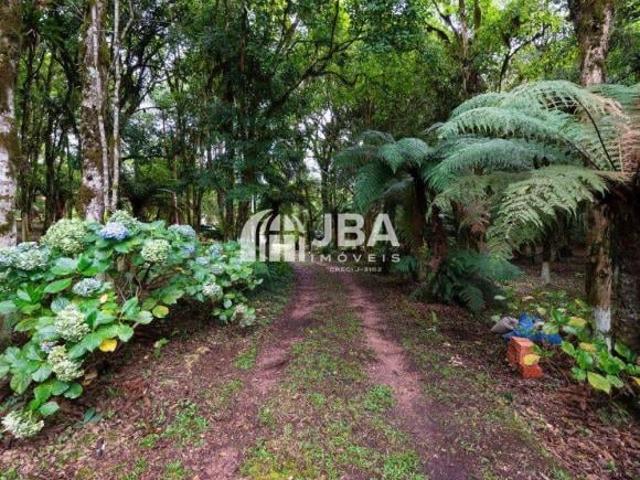 Rurais à venda em Quatro Pinheiros