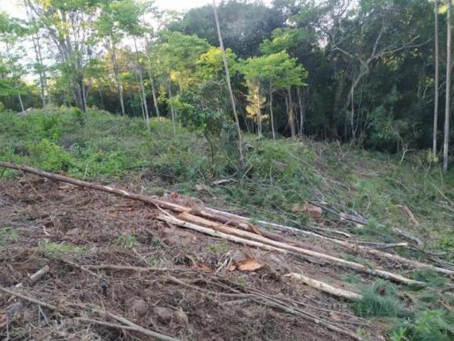Rurais à venda em Riozinho