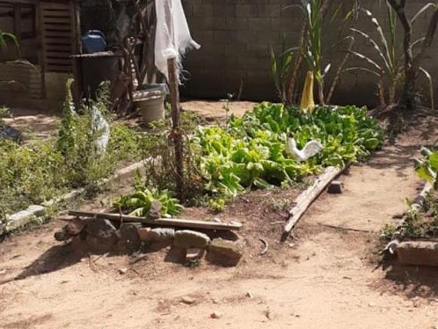 Rurais à venda em Rio Acima