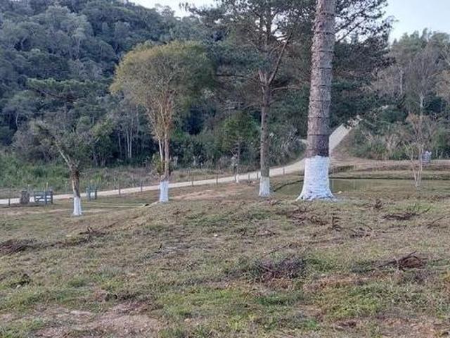 Rurais à venda em Rio Branco do Sul