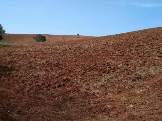 Rurais à venda em Ribeirão Branco