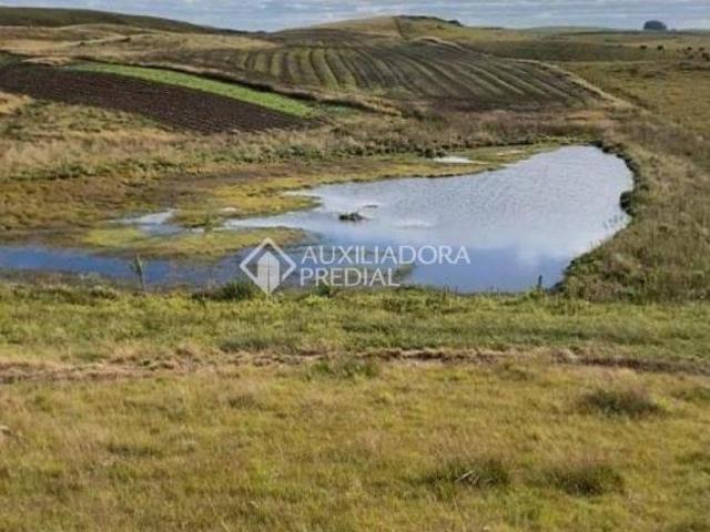 Rurais à venda em São Francisco de Paula