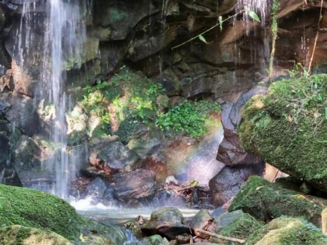 Rurais à venda em São Francisco de Paula