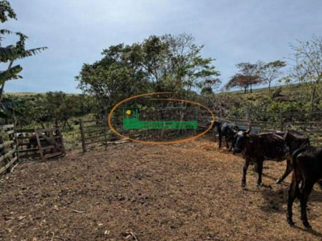 Rurais à venda em São João Del Rei