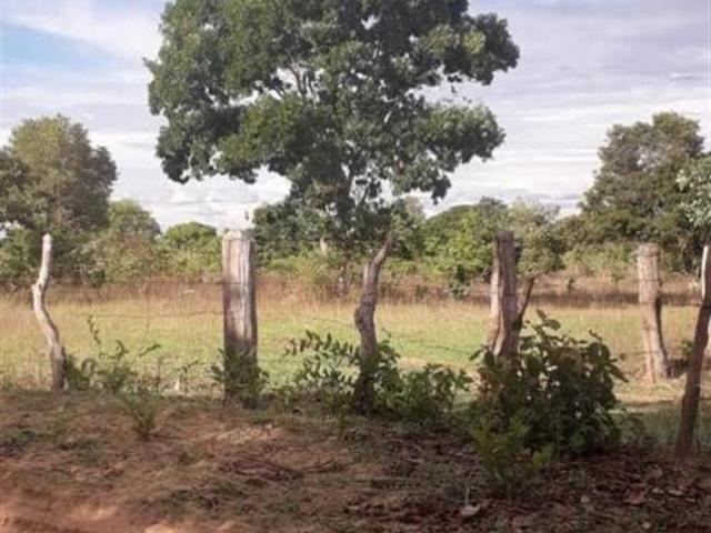 Rurais à venda em São Romão