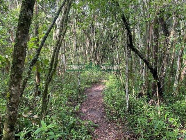Rurais à venda em São Thomé das Letras