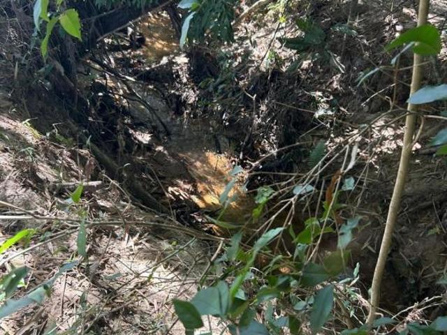 Rurais à venda em São Thomé das Letras