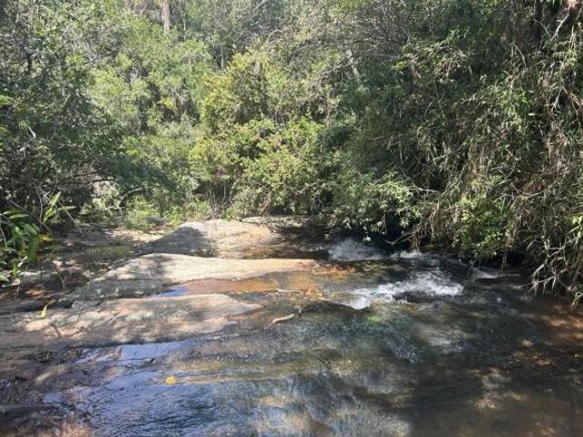 Rurais à venda em São Thomé das Letras