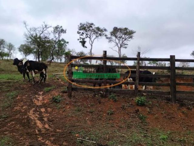 Rurais à venda em São Tiago