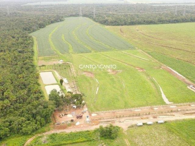 Rurais à venda em Santa Carmem