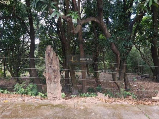 Rurais à venda em Santa Helena