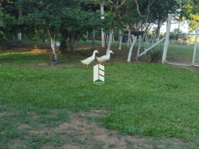 Rurais à venda em Santa Maria