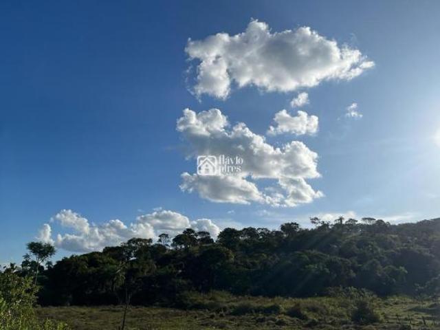 Rurais à venda em Santo Afonso