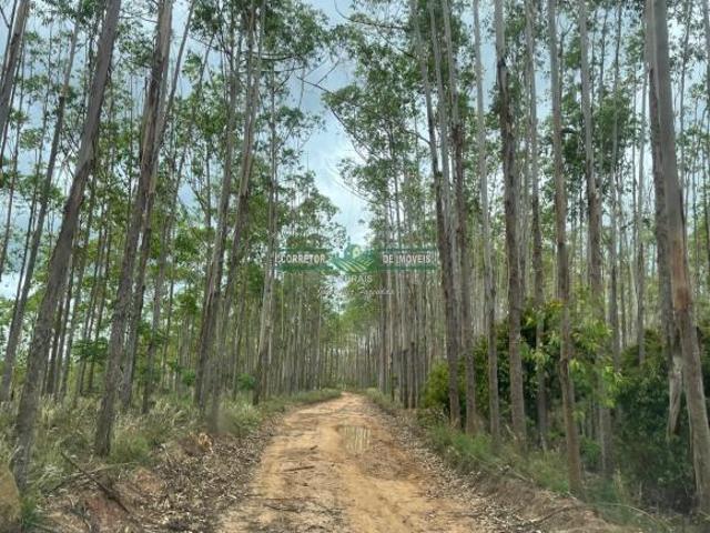 Rurais à venda em Serranos