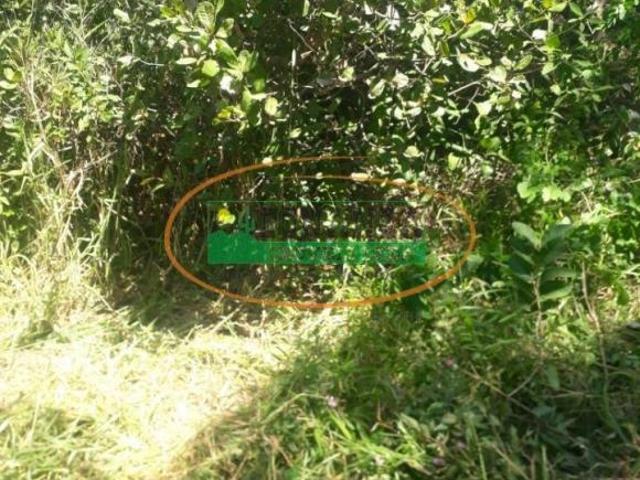 Rurais à venda em Sete Lagoas