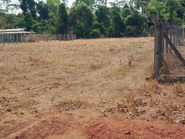Rurais à venda em Sinop