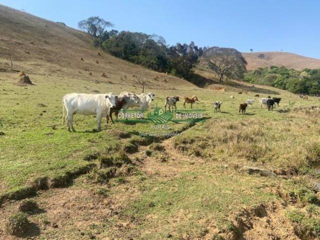 Rurais à venda em Soledade de Minas
