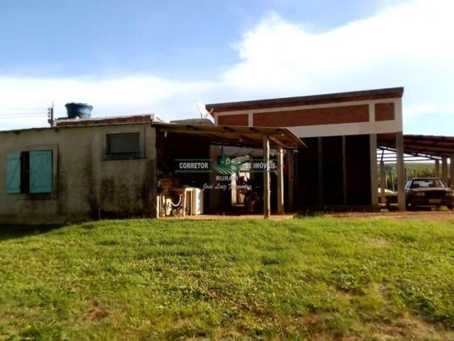 Rurais à venda na Zona Rural