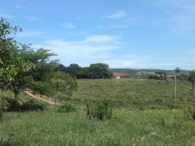 Rurais à venda na Zona Rural
