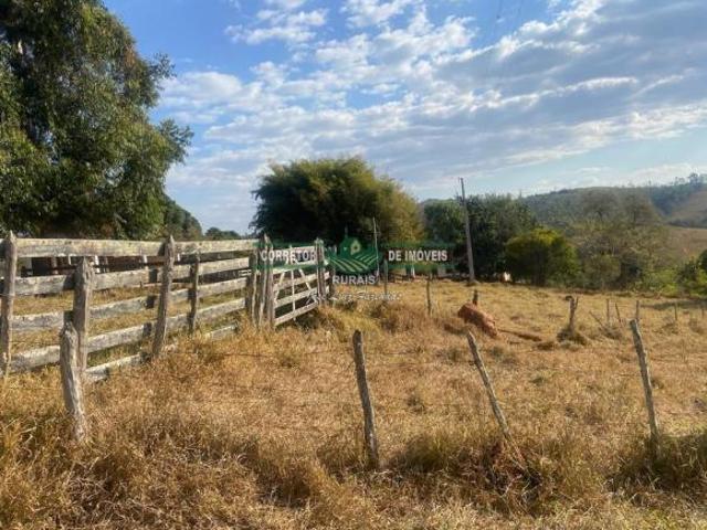Rurais à venda na Zona Rural