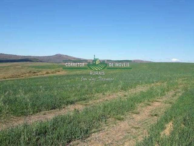Rurais à venda na Zona Rural