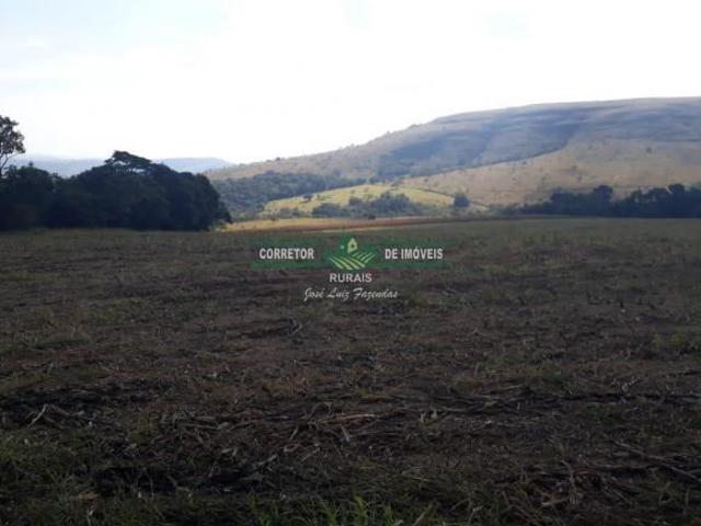 Rurais à venda na Zona Rural