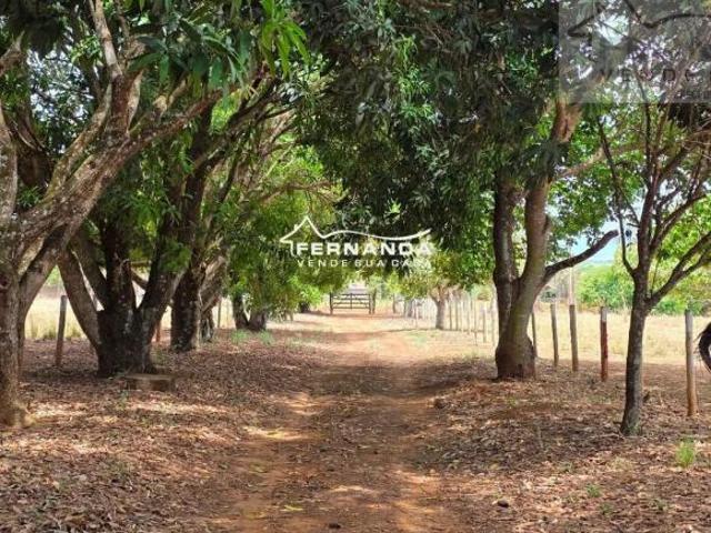 Rurais à venda na Zona Rural