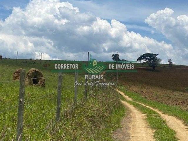 Rurais à venda na Zona Rural