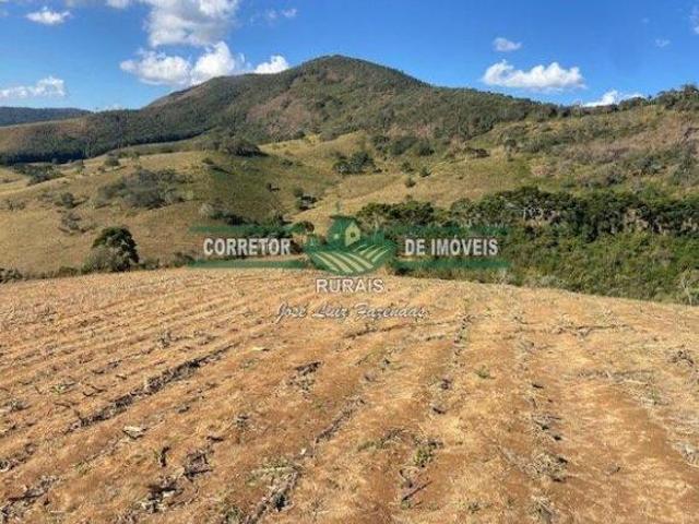 Rurais à venda Na Zona Rural