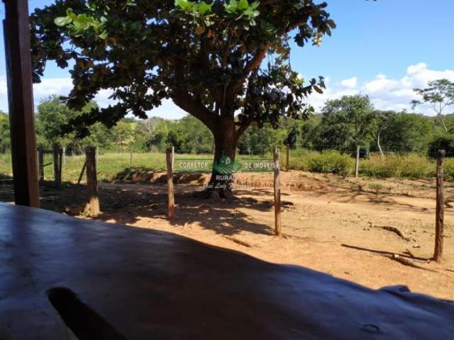 Rurais à venda Na Zona Rural