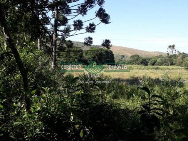 Rurais à venda na Zona Rural