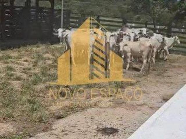 Rurais à venda na Zona Rural