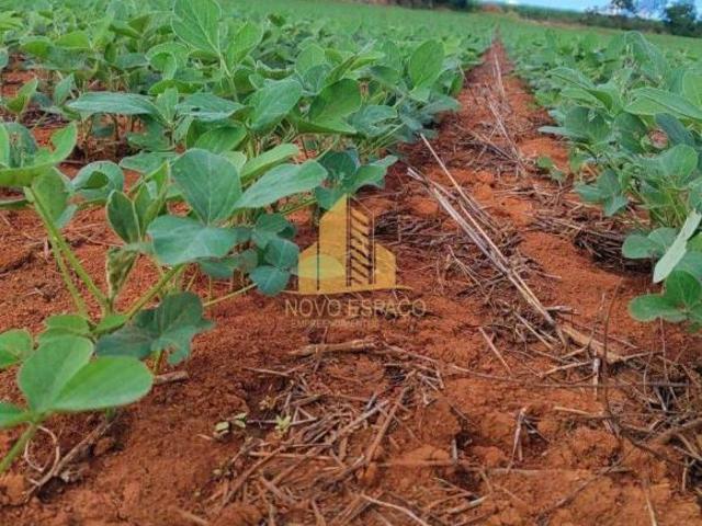Rurais à venda na Zona Rural