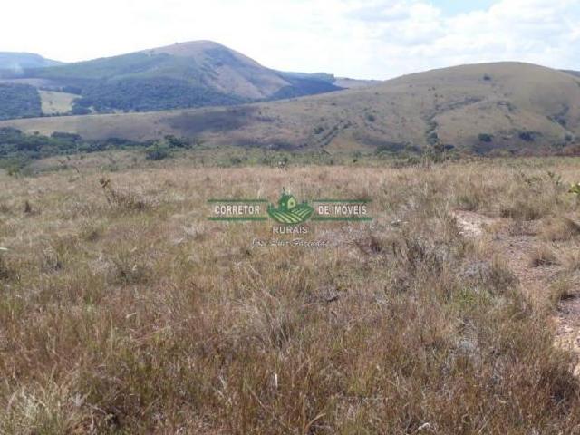 Rurais à venda na Zona Rural