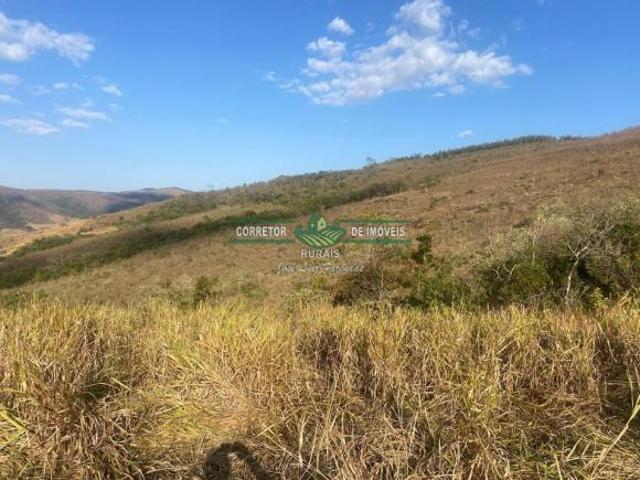 Rurais à venda na Zona Rural